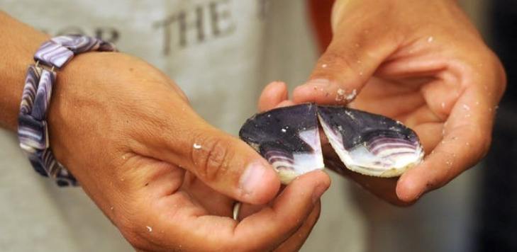 How To Cut Shells For Jewelry? | Shell Jewelry