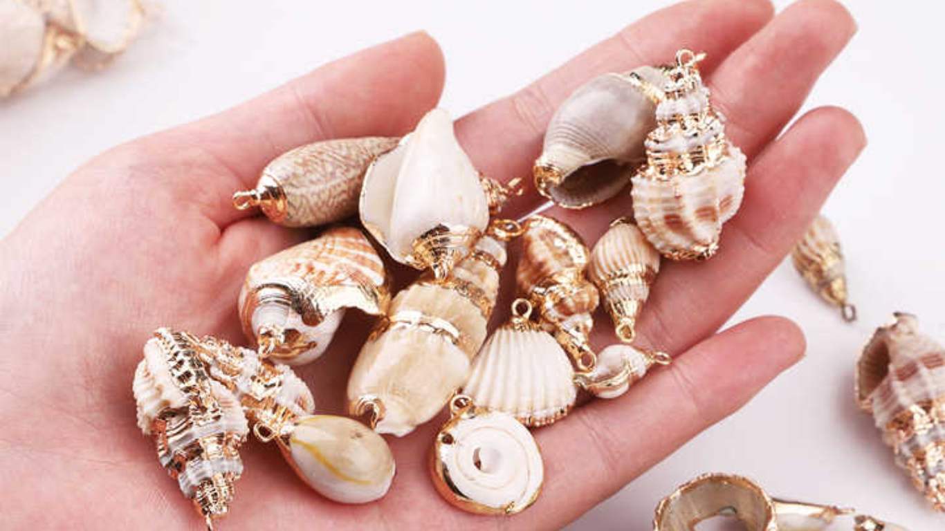 What are the best shells for jewelry making? | Shell Jewelry Store